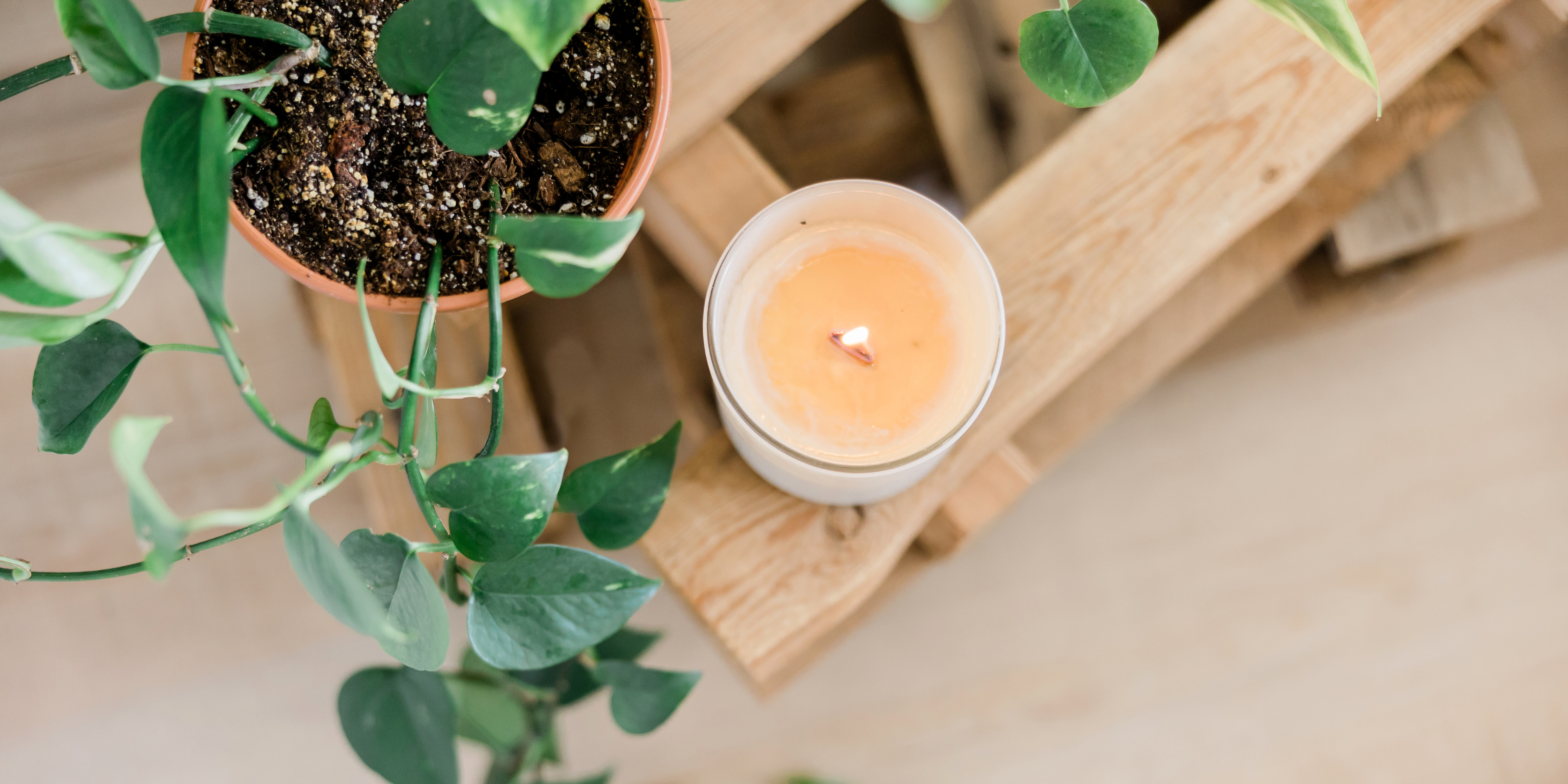 Living – From Little Things Flower Shop